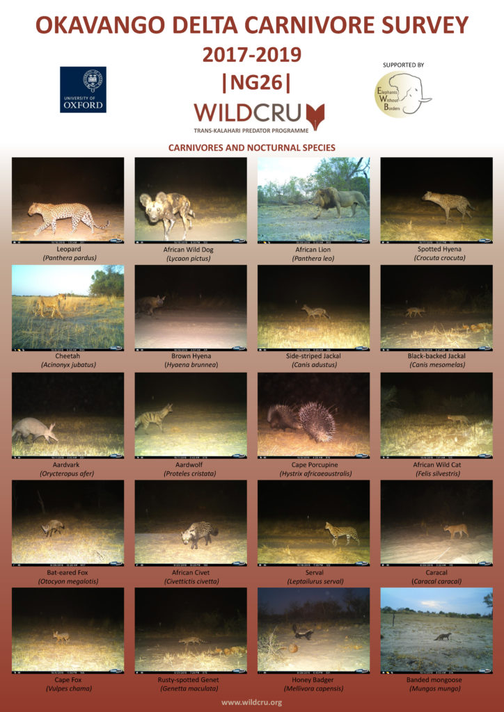 Researchers - Elephants Without Borders